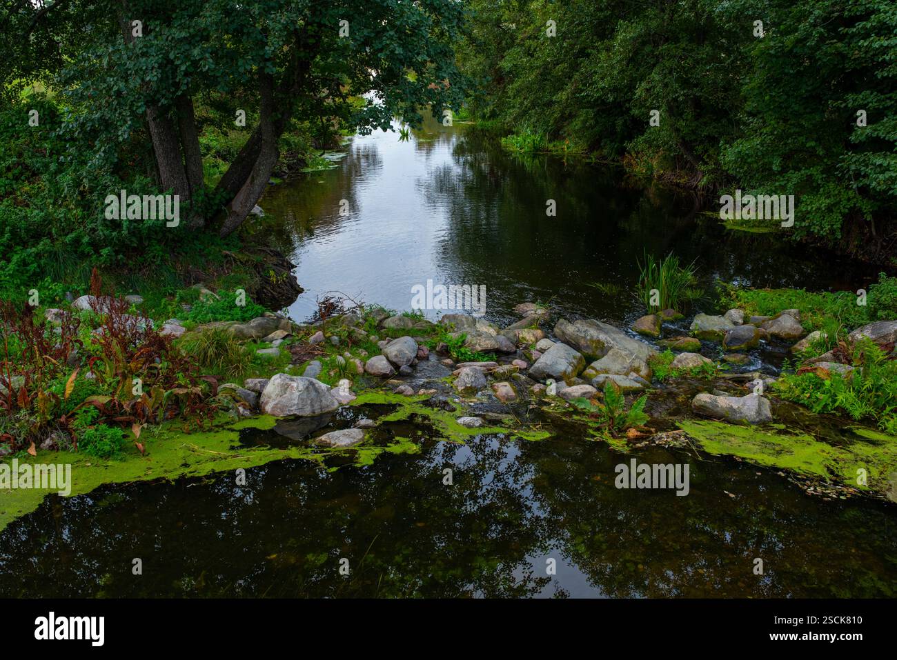 Desolate environment hi-res stock photography and images - Alamy