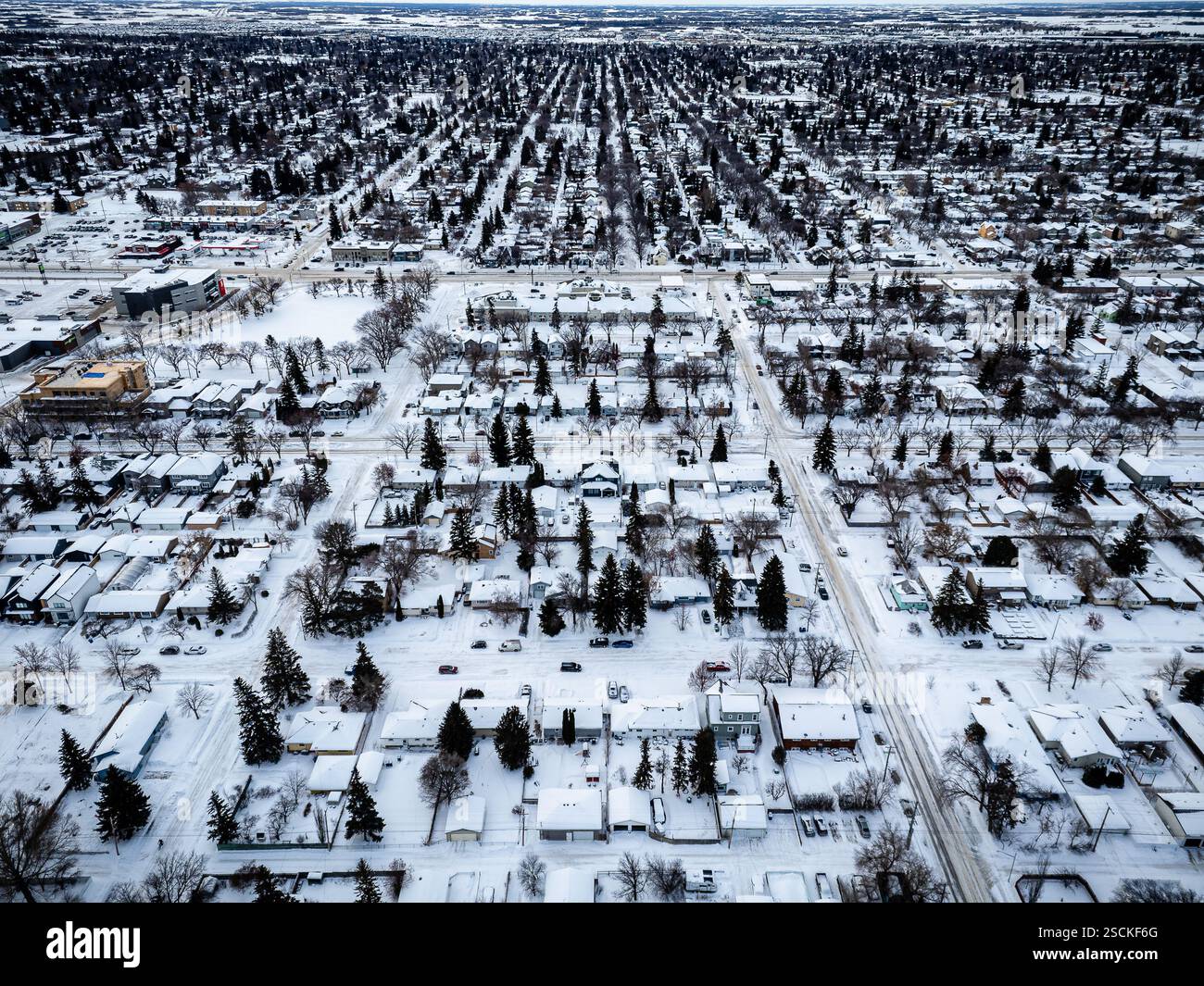 Snowy cityscape with houses and trees. The houses are mostly empty and ...