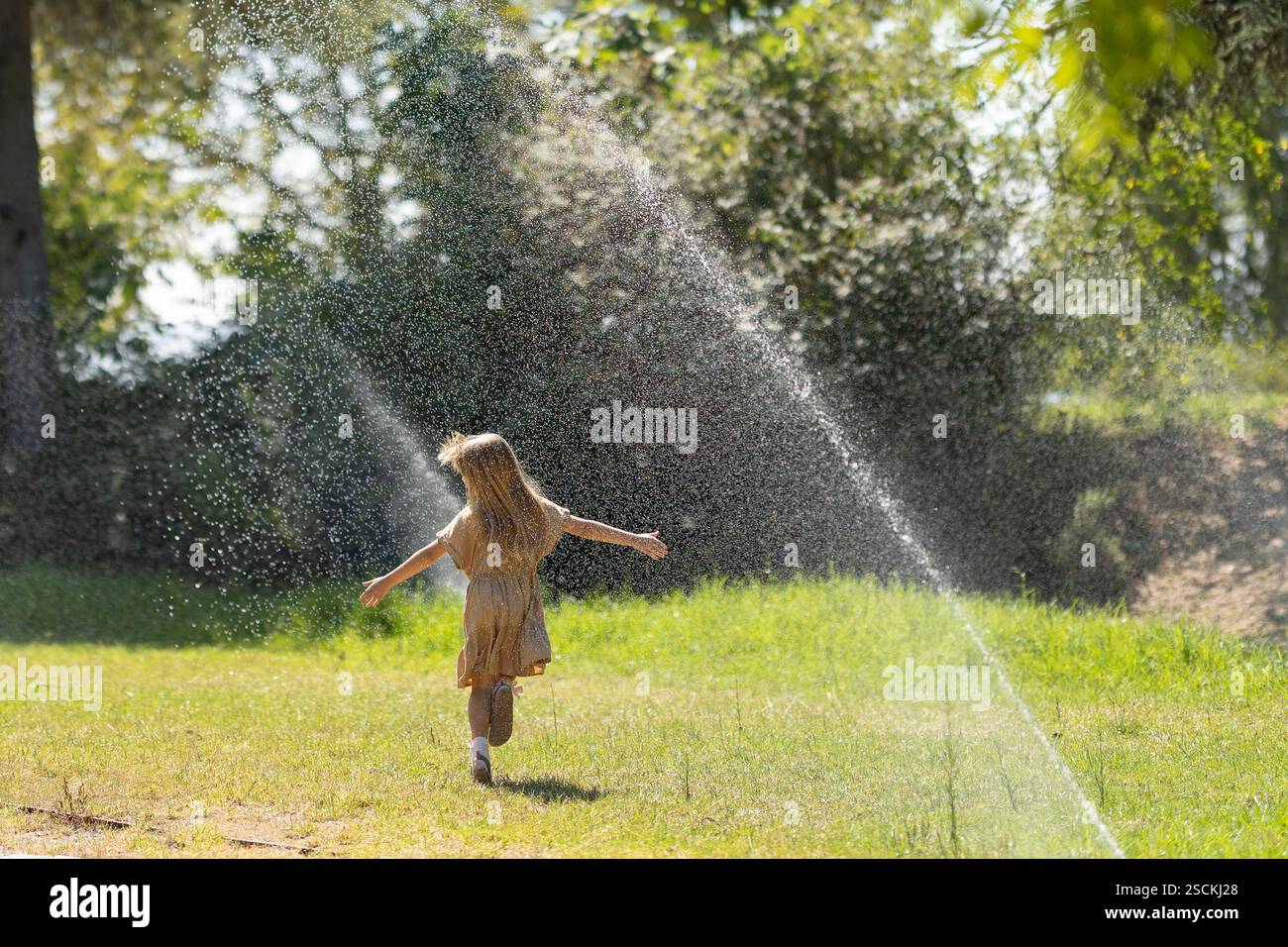 Child joyfully running through garden sprinkler Stock Photo - Alamy