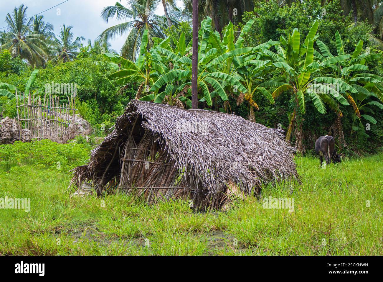 Tropical straw roof hut hi-res stock photography and images - Alamy