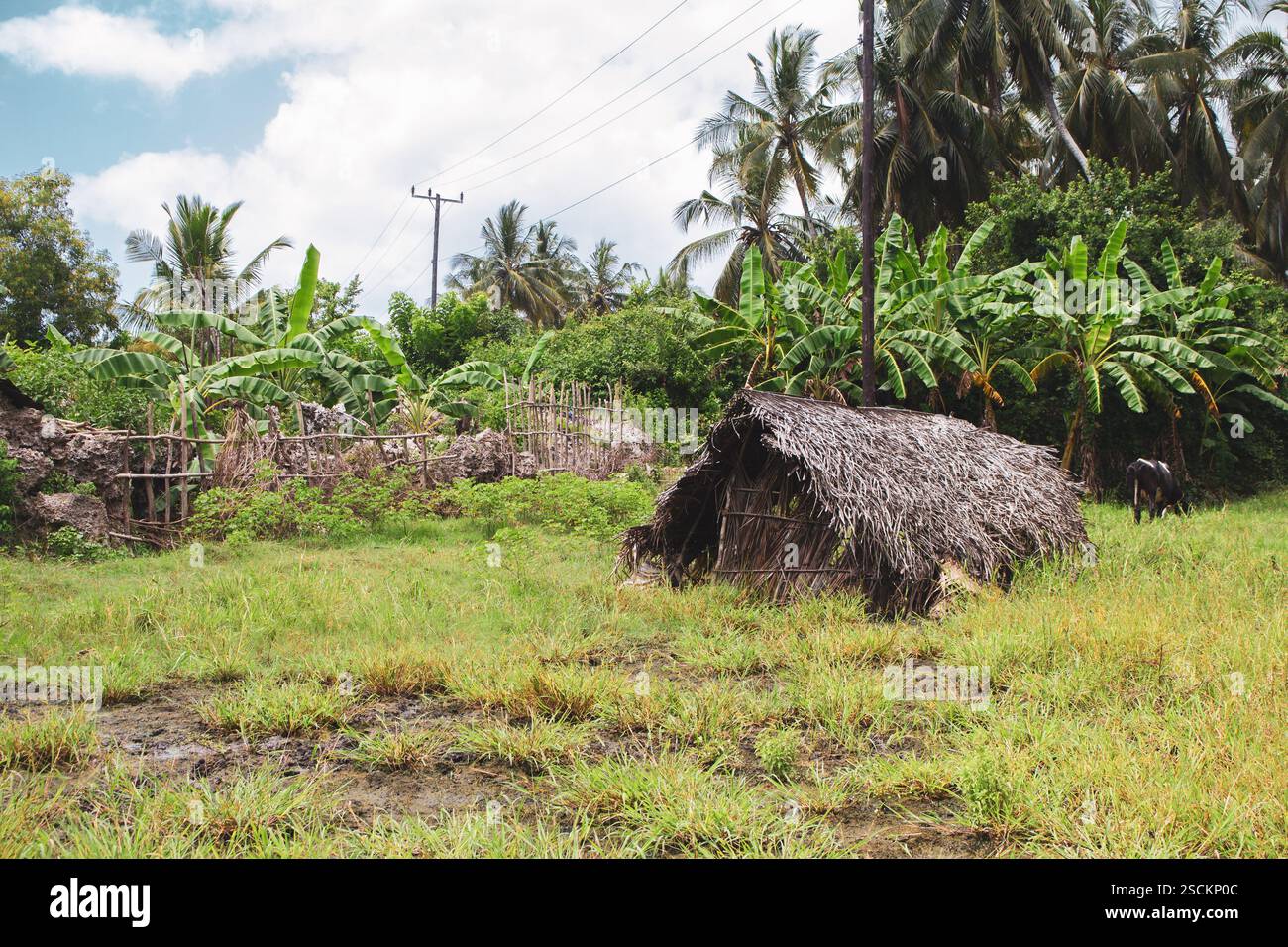 Tropical straw roof hut hi-res stock photography and images - Alamy