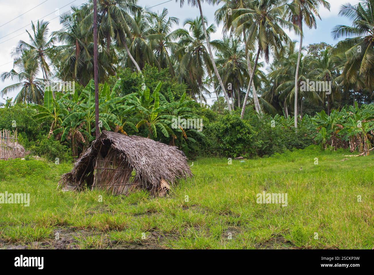 Tropical straw roof hut hi-res stock photography and images - Alamy
