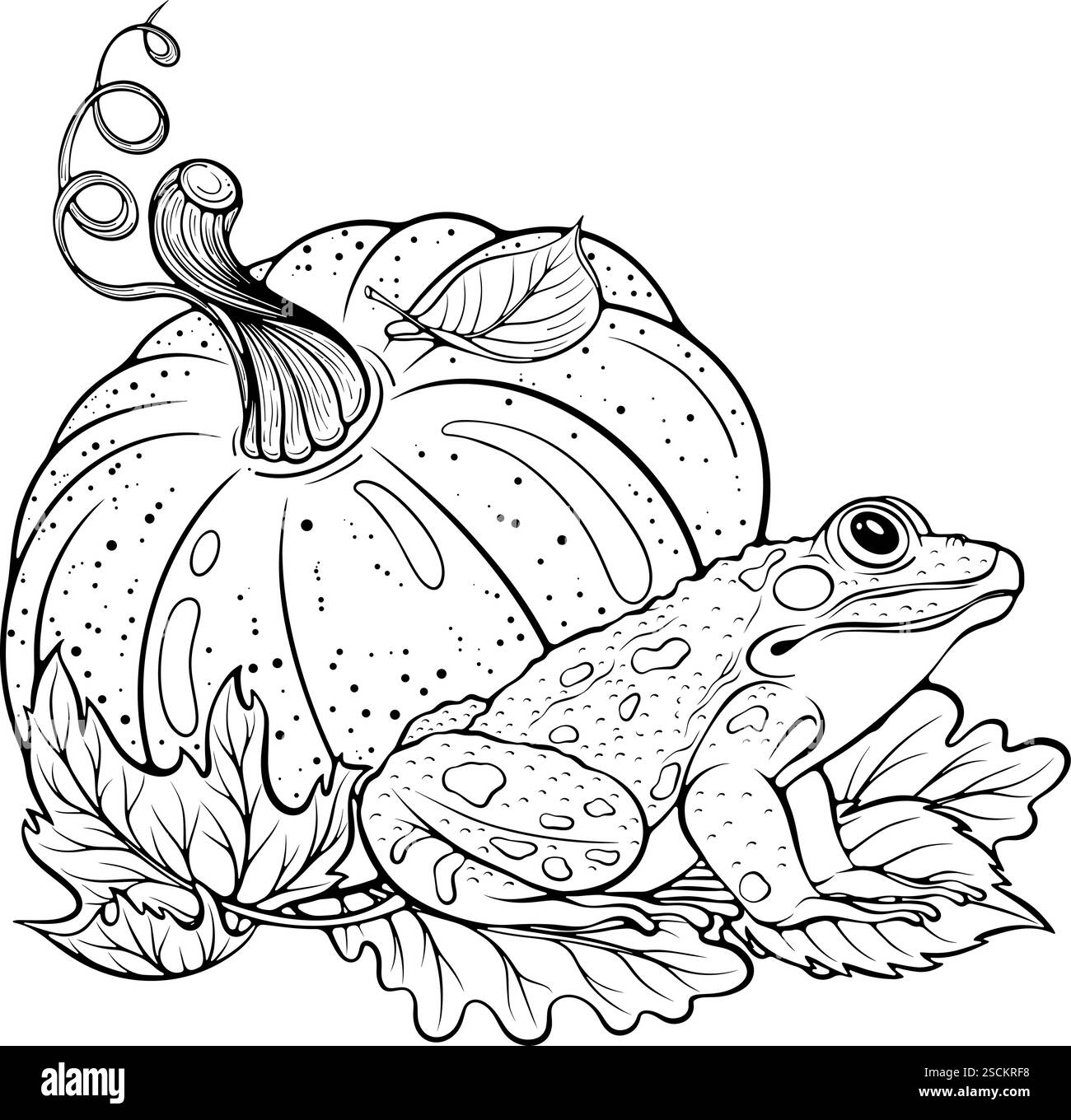 Frog line art hi-res stock photography and images - Alamy