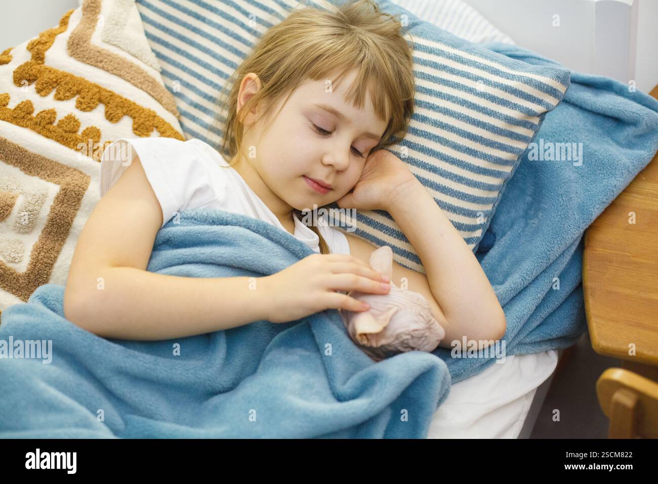 Sleeping child with her cat pet in her bed at cosy home. Adorable sweet ...