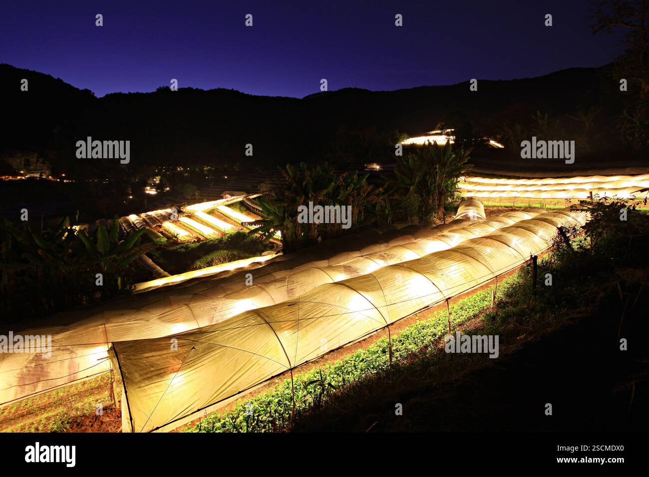 Flower and vegetable planting plots at the Royal Agricultural Station ...