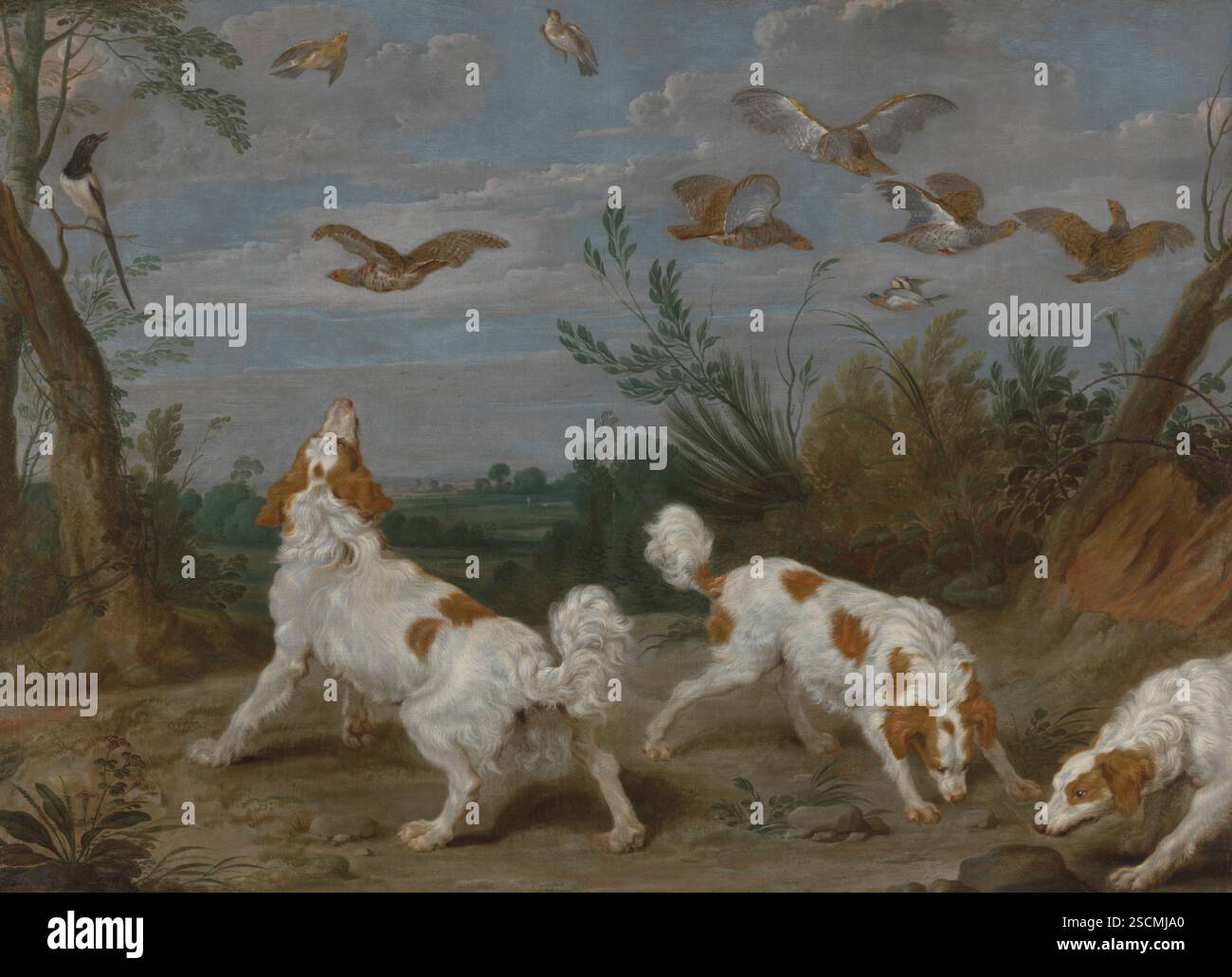 Partridge hunt hi-res stock photography and images - Alamy