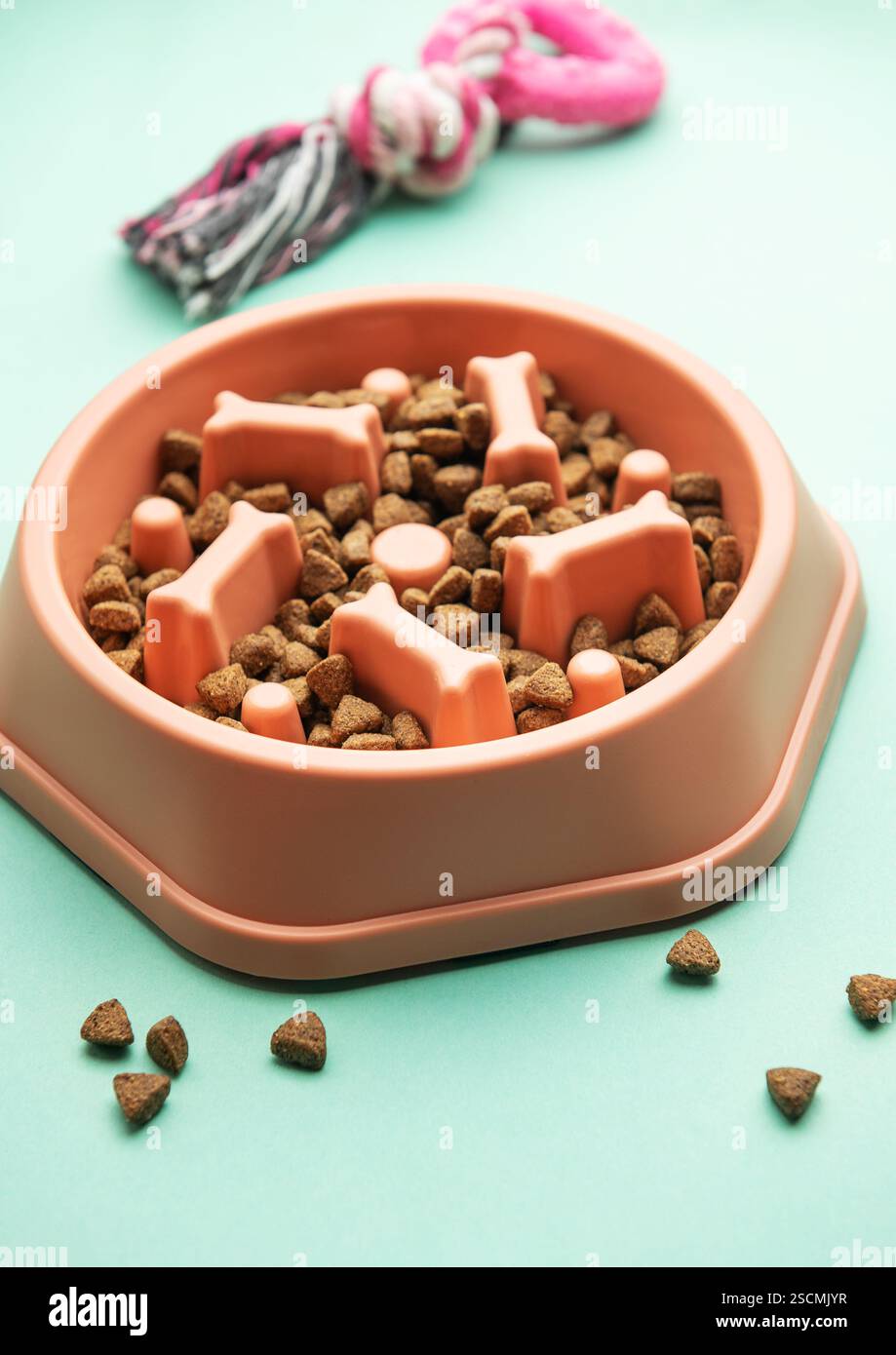 Slow feeder bowl designed for dogs to encourage slower, healthier ...