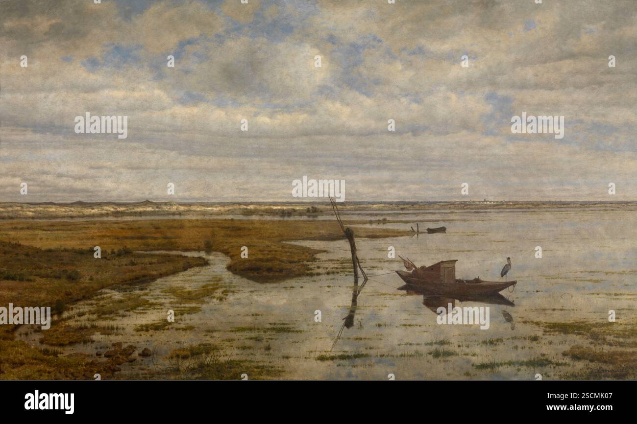 Putte marsh hi-res stock photography and images - Alamy