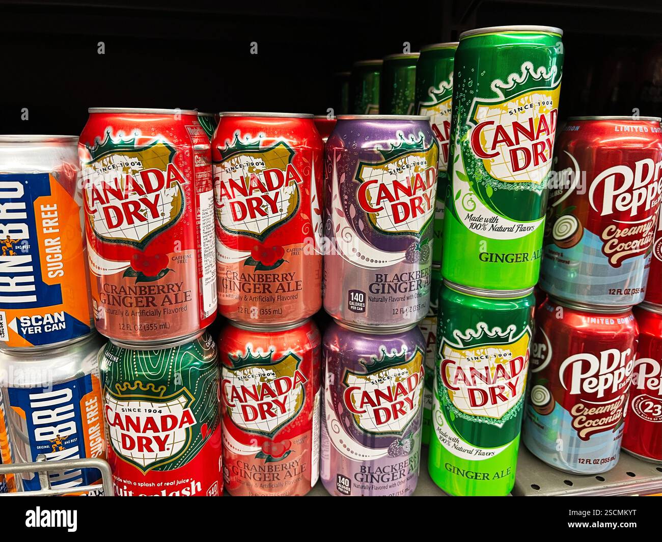 Kyiv, Ukraine - February 04, 2025: Variety of Canada Dry soda beverages ...