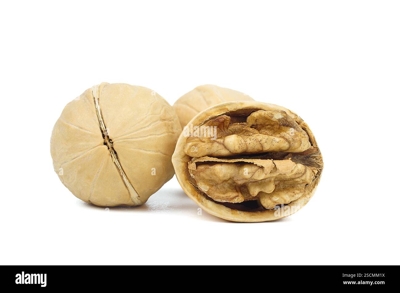 Walnut isolated. Unpeeled walnut on white background. Perfect retouched ...