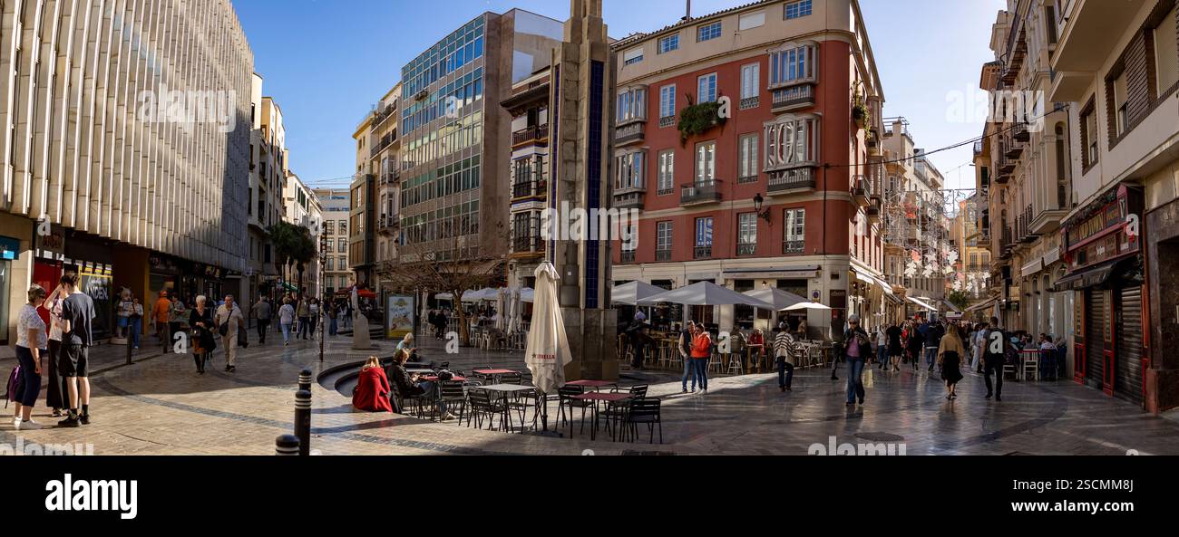 Wide angle view of palm trees in Plaza de la Constitucion in Andalusian ...