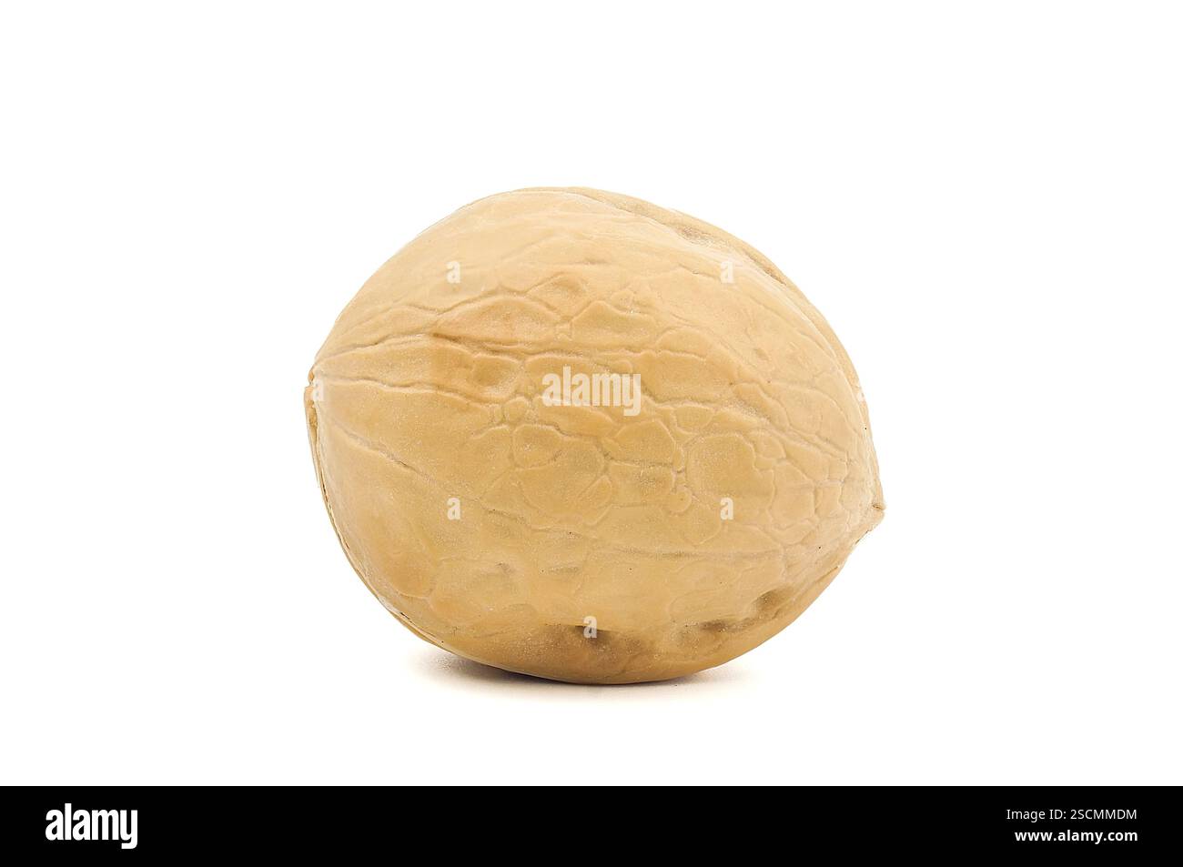 Walnut isolated. Unpeeled walnut on white background. Perfect retouched ...