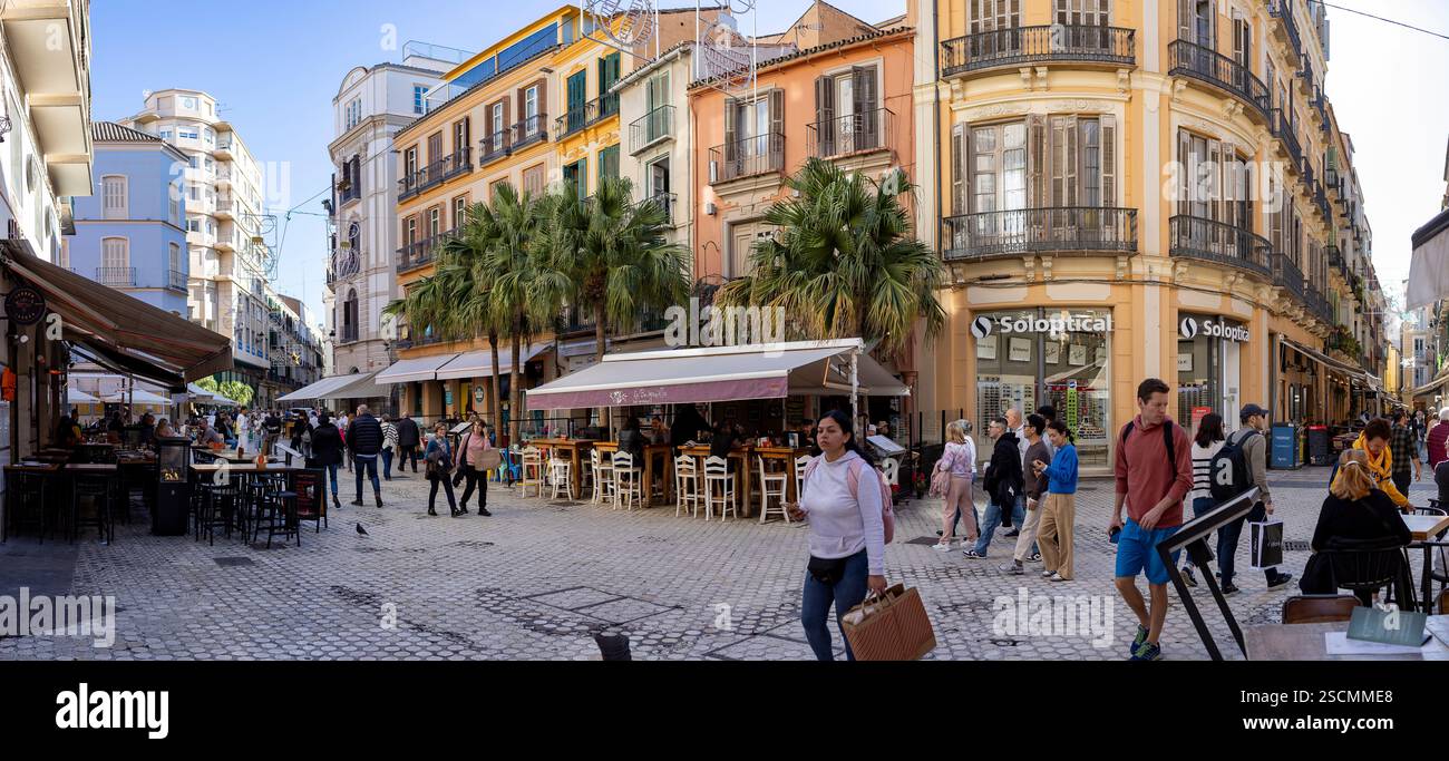 Wide angle view of palm trees in Plaza de la Constitucion in Andalusian ...