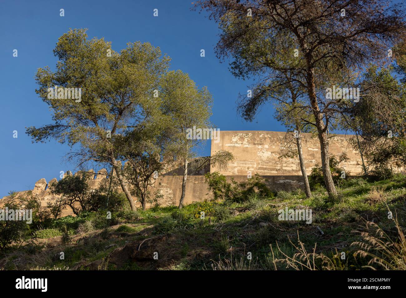 Mediterranean Spanish Costa del Sol capital city of Malaga Stock Photo ...