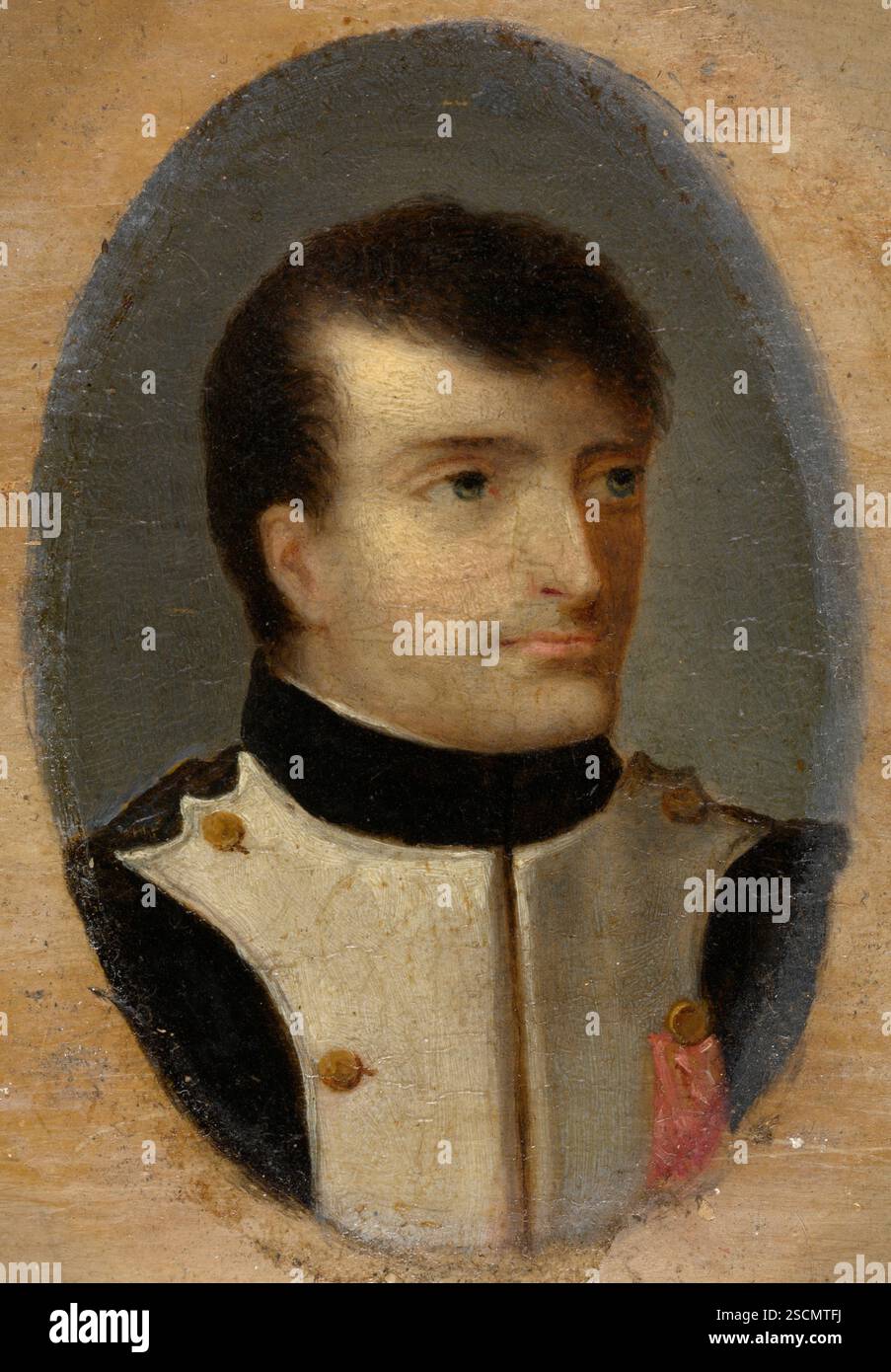 Napoleon Bonaparte as First Consul Stock Photo - Alamy