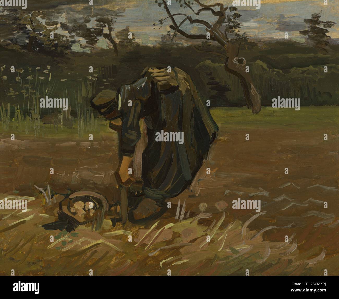 Peasant woman digging potatoes hi-res stock photography and images - Alamy