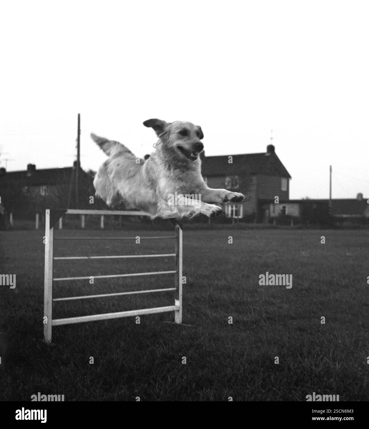 Up in the mid air Black and White Stock Photos & Images - Alamy