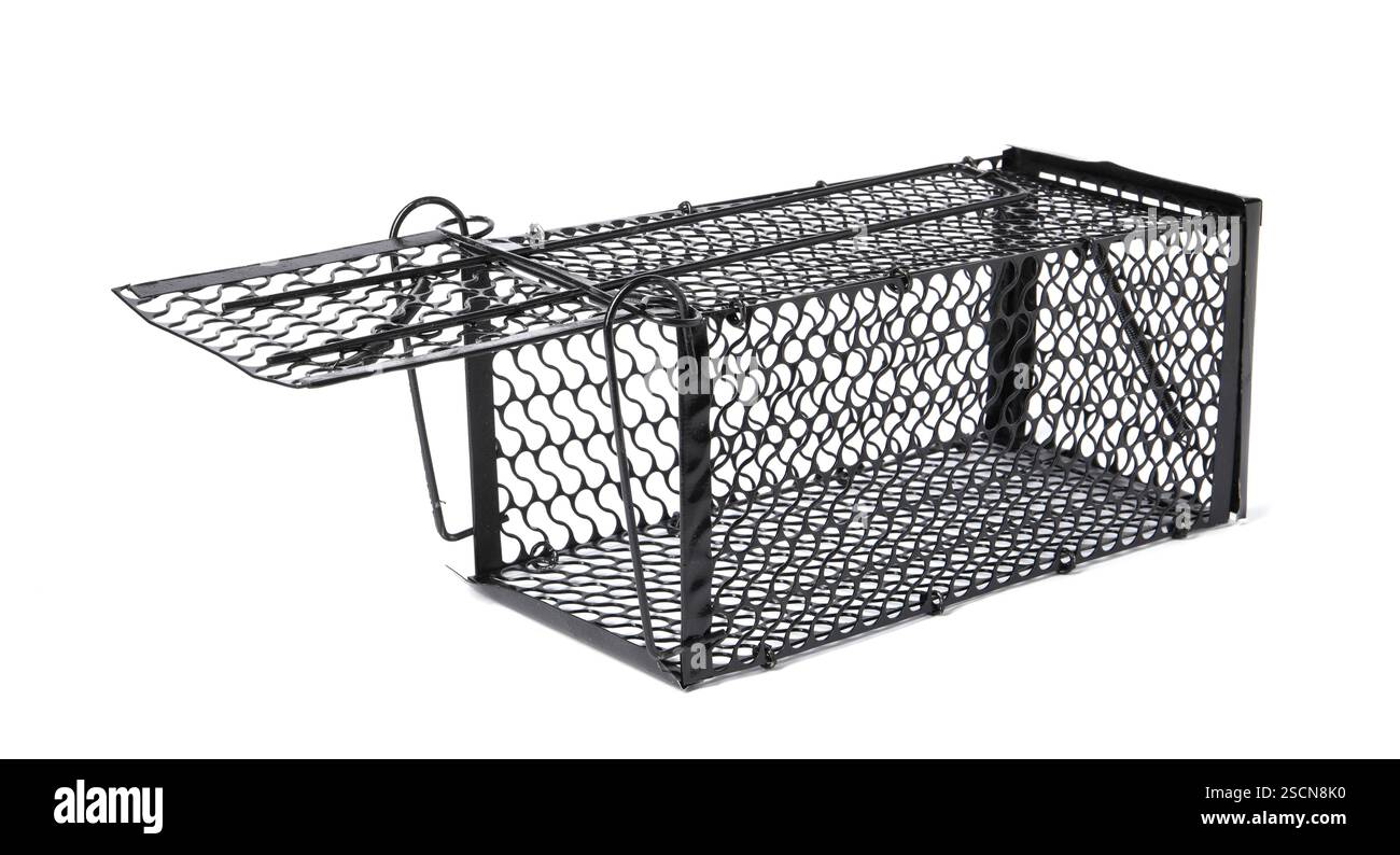 Invasion threat Cut Out Stock Images & Pictures - Alamy