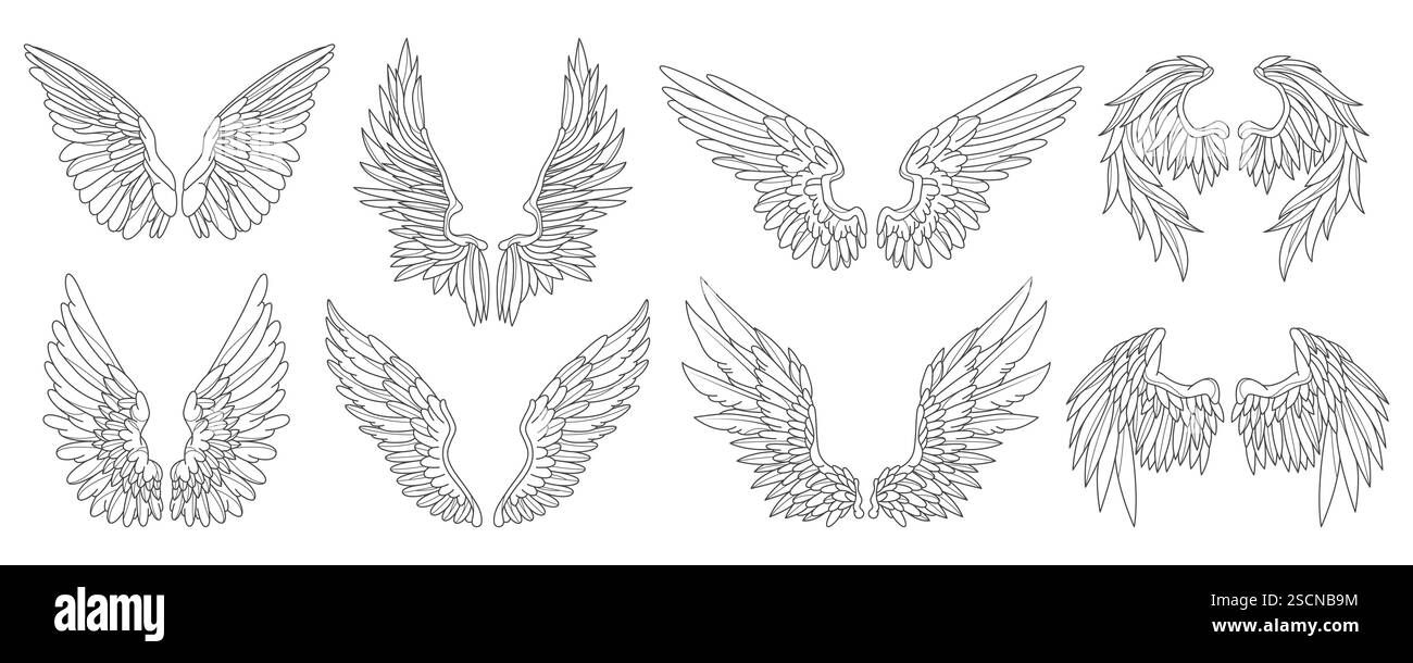 Set of angel or bird wing. Vector feather contour. Medieval or heraldic ...