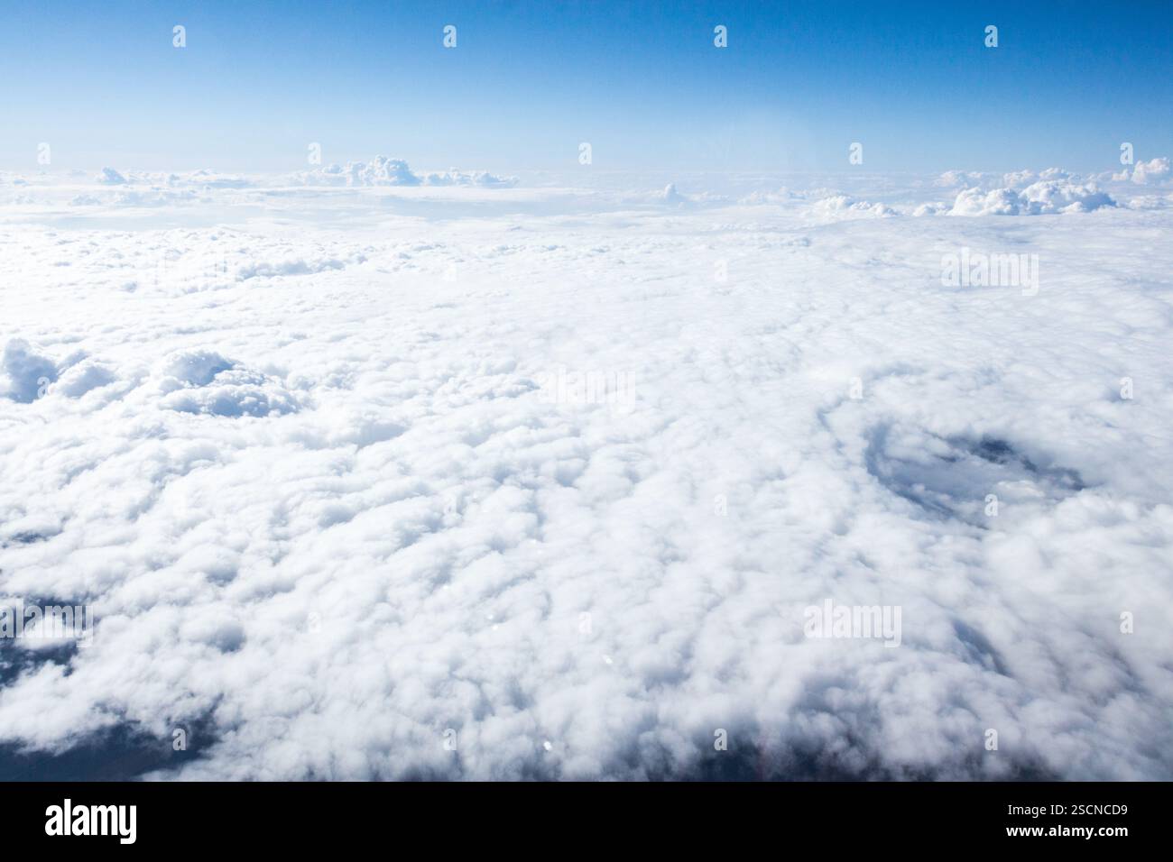Skyward view shows sunlight hi-res stock photography and images - Alamy
