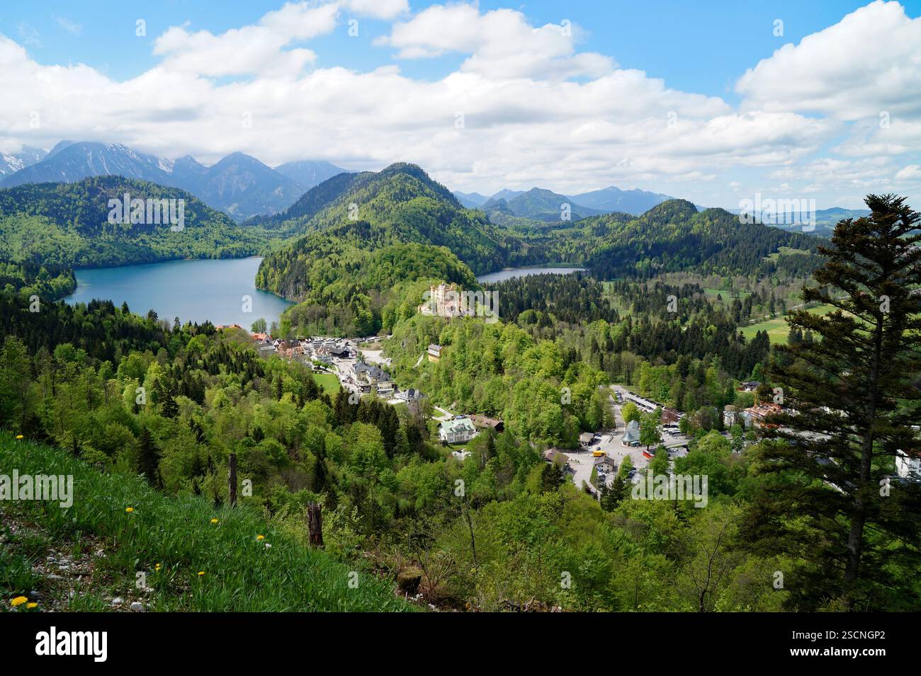Hohenschwangau Castle in the Bavarian Alps surrounded by the woods and ...