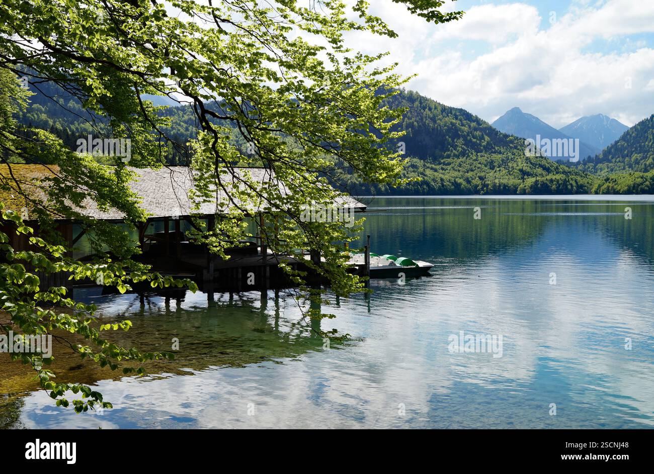 a wooden boat house on gorgeous emerald-green alpine lake Alpsee in the ...