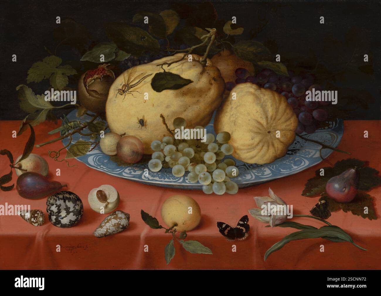 Fruit Still Life with Shells and Tulip, 1620 Stock Photo - Alamy