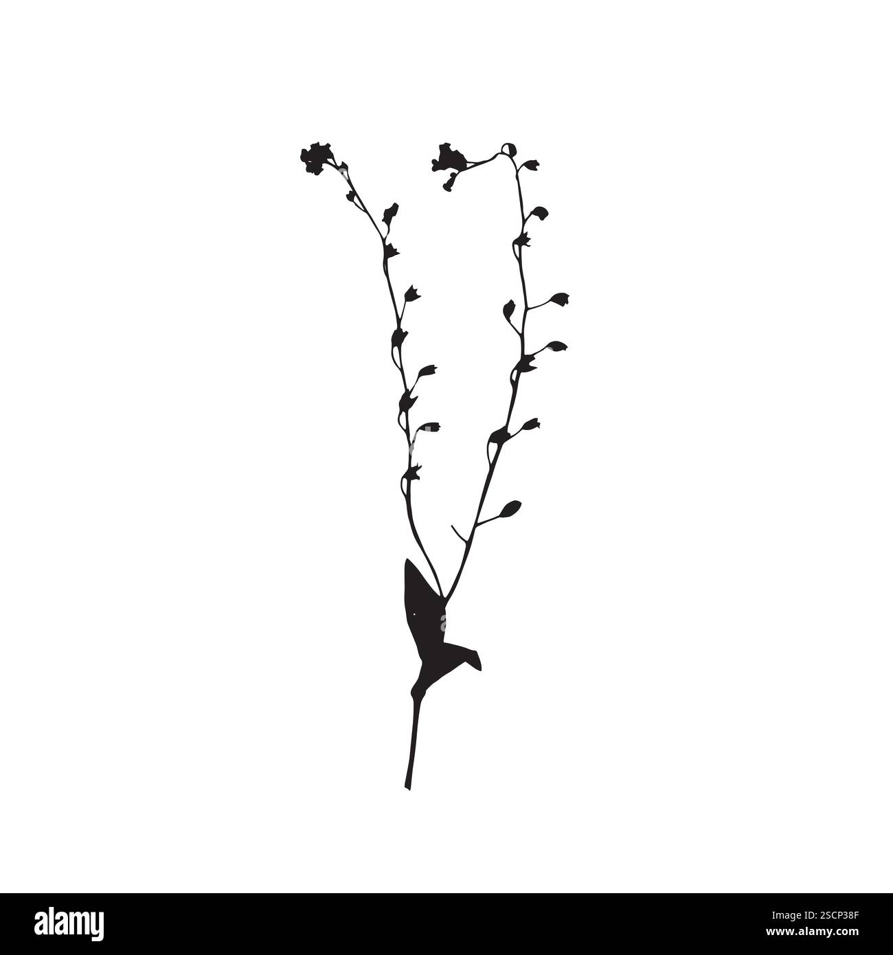 Rough edges dried floral sinlouette Stock Vector Image & Art - Alamy