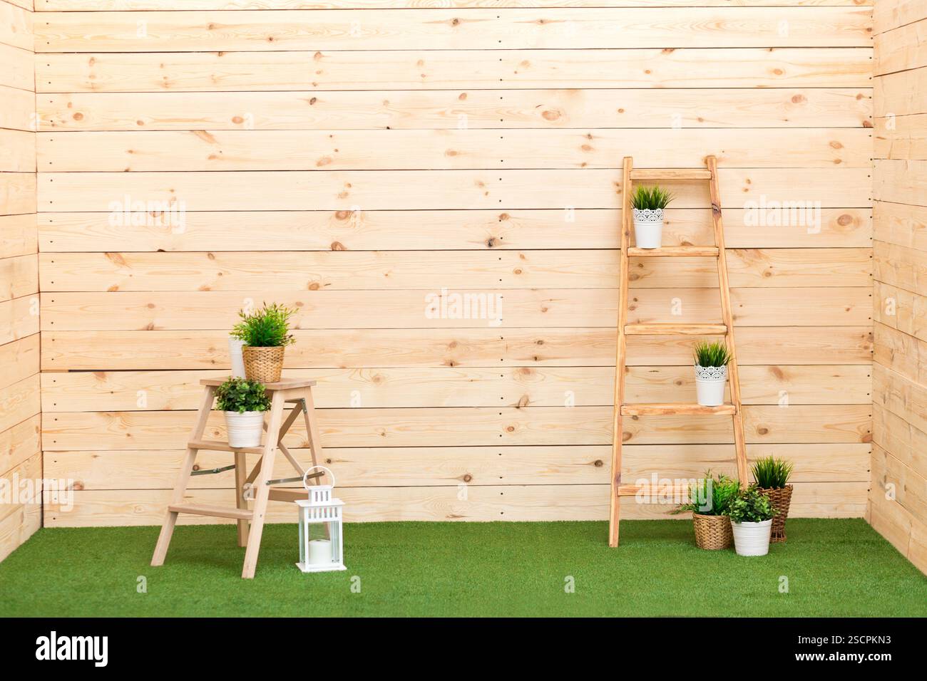 Cozy indoor corner with wooden ladder and potted plants during daylight ...