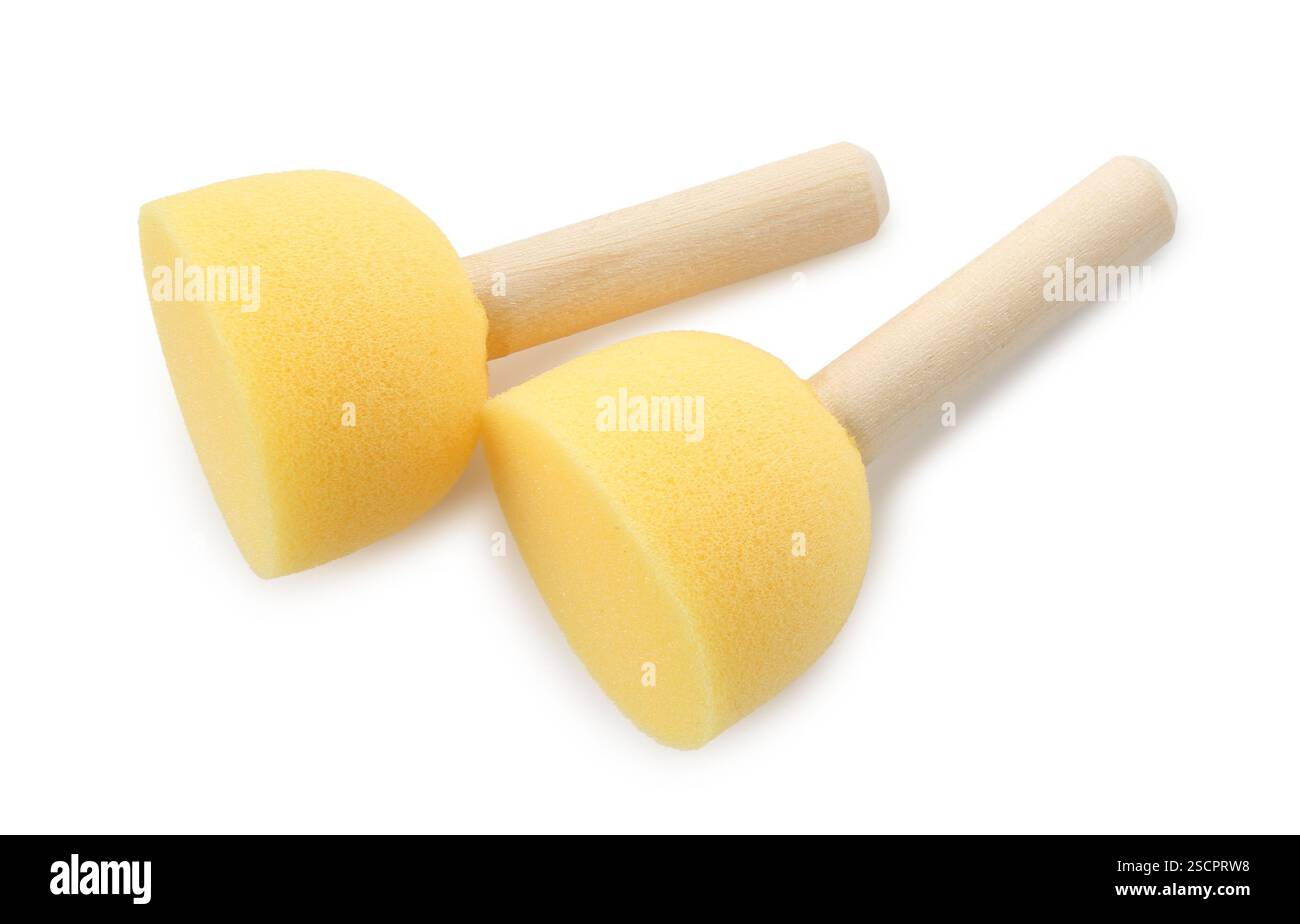 Two sponges for face painting isolated on white, top view Stock Photo ...