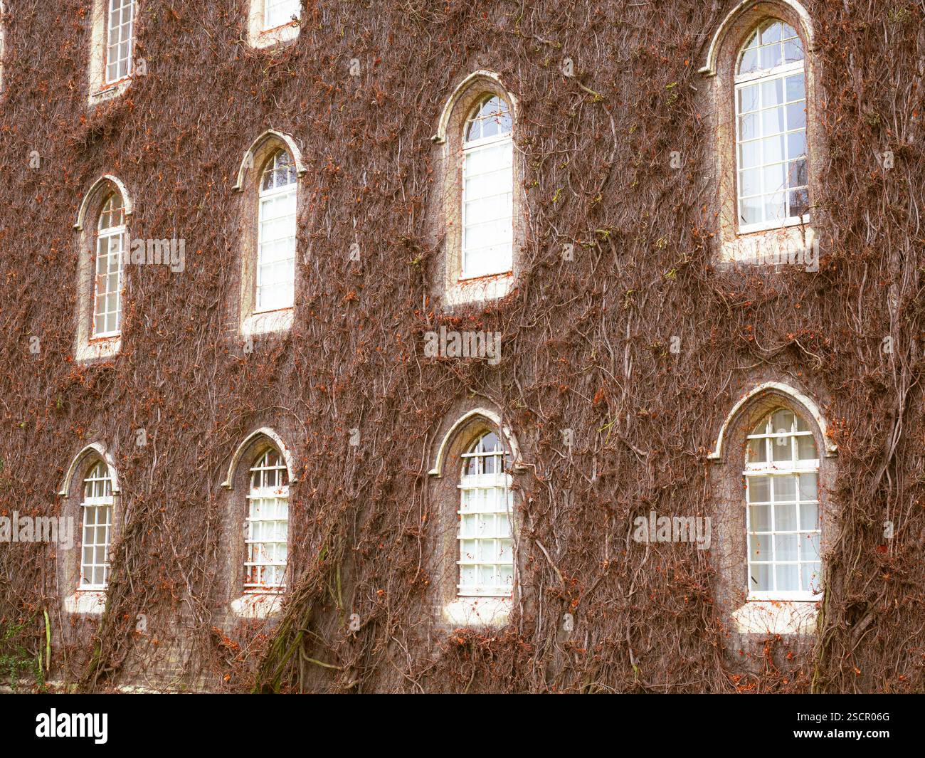 Lower River Court, Building covered with Ivey, St Johns College ...