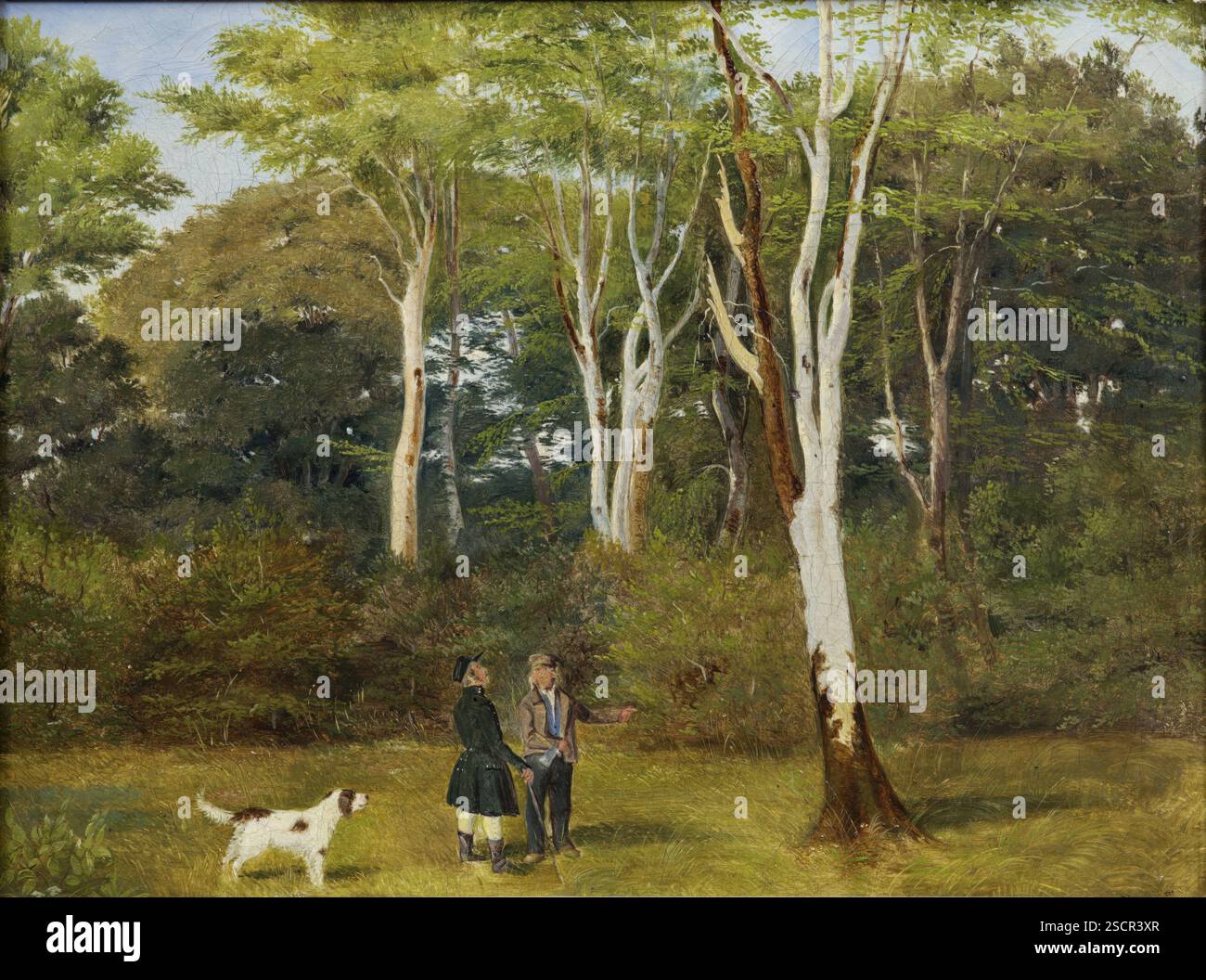 Selecting Trees for Felling, n.d. c1830-1880 Stock Photo - Alamy