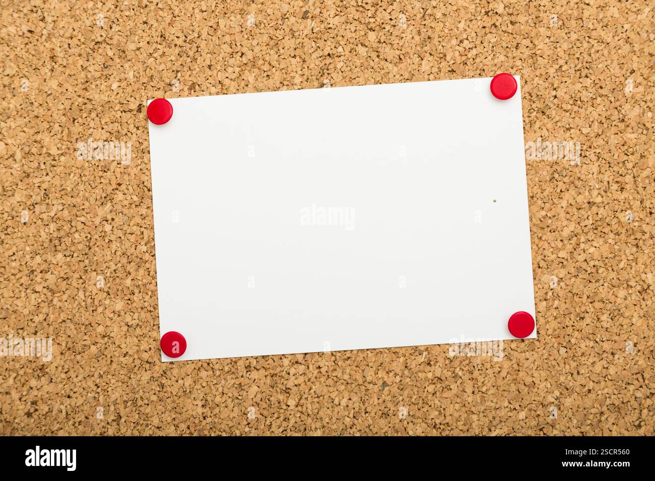 Blank notice board with red push pins holding a white sheet in a casual ...