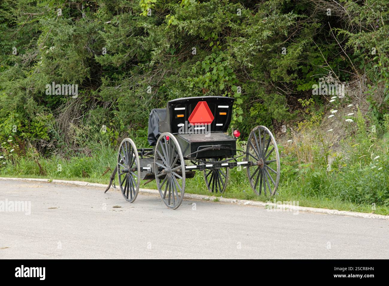 Amish buggy, hack, with a caution sign parked on the side of the road ...