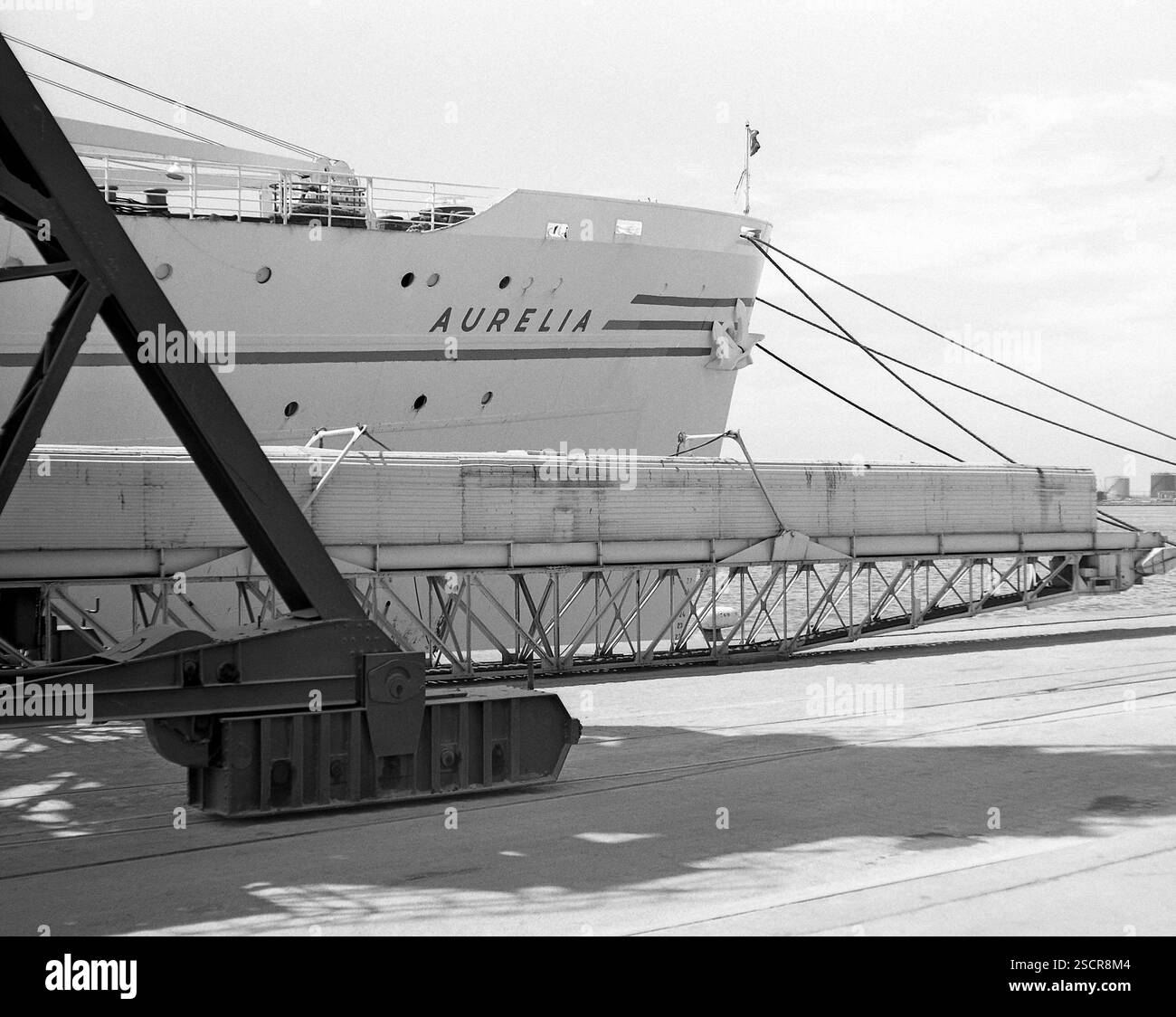 Bow of the MS 'Aurelia' in Le Havre. [automated translation] Stock ...