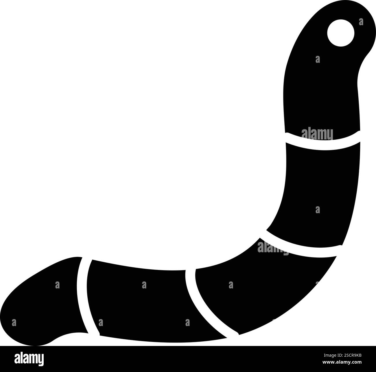 Worm web Black and White Stock Photos & Images - Alamy