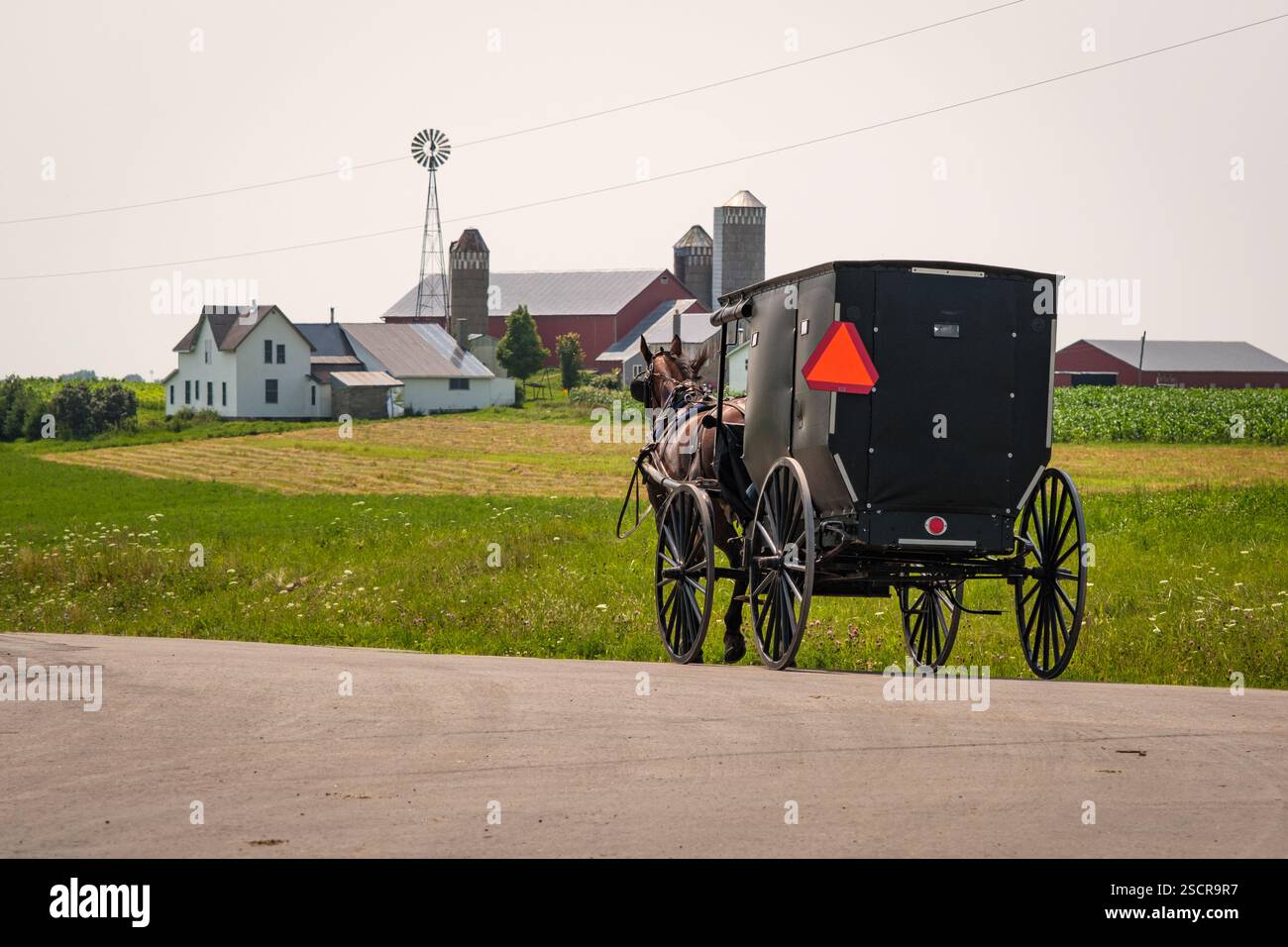Horse drawn Amish buggy on a country road with a farm in the distance ...