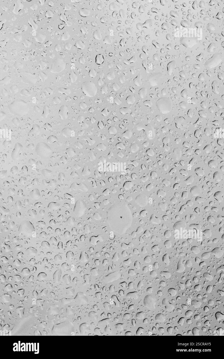 Water droplets form a beautiful pattern on a clear surface in a close ...
