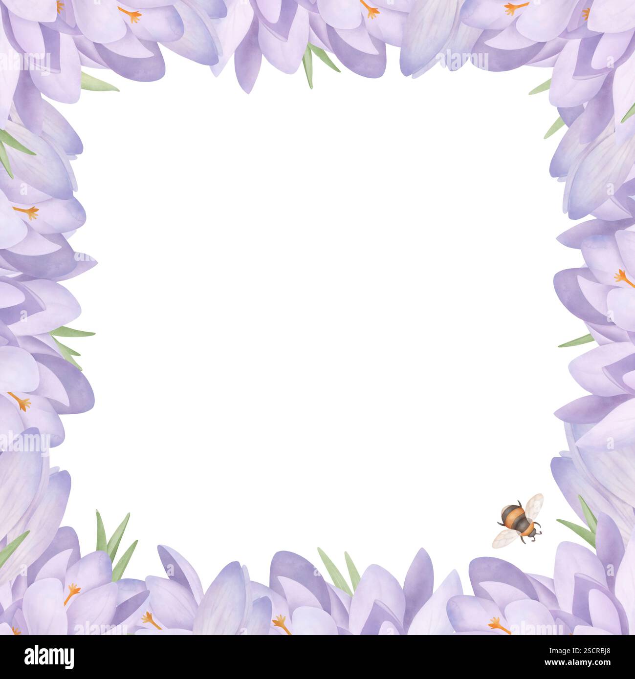 Square flower frame with purple crocuses and a bumblebee. Watercolor ...