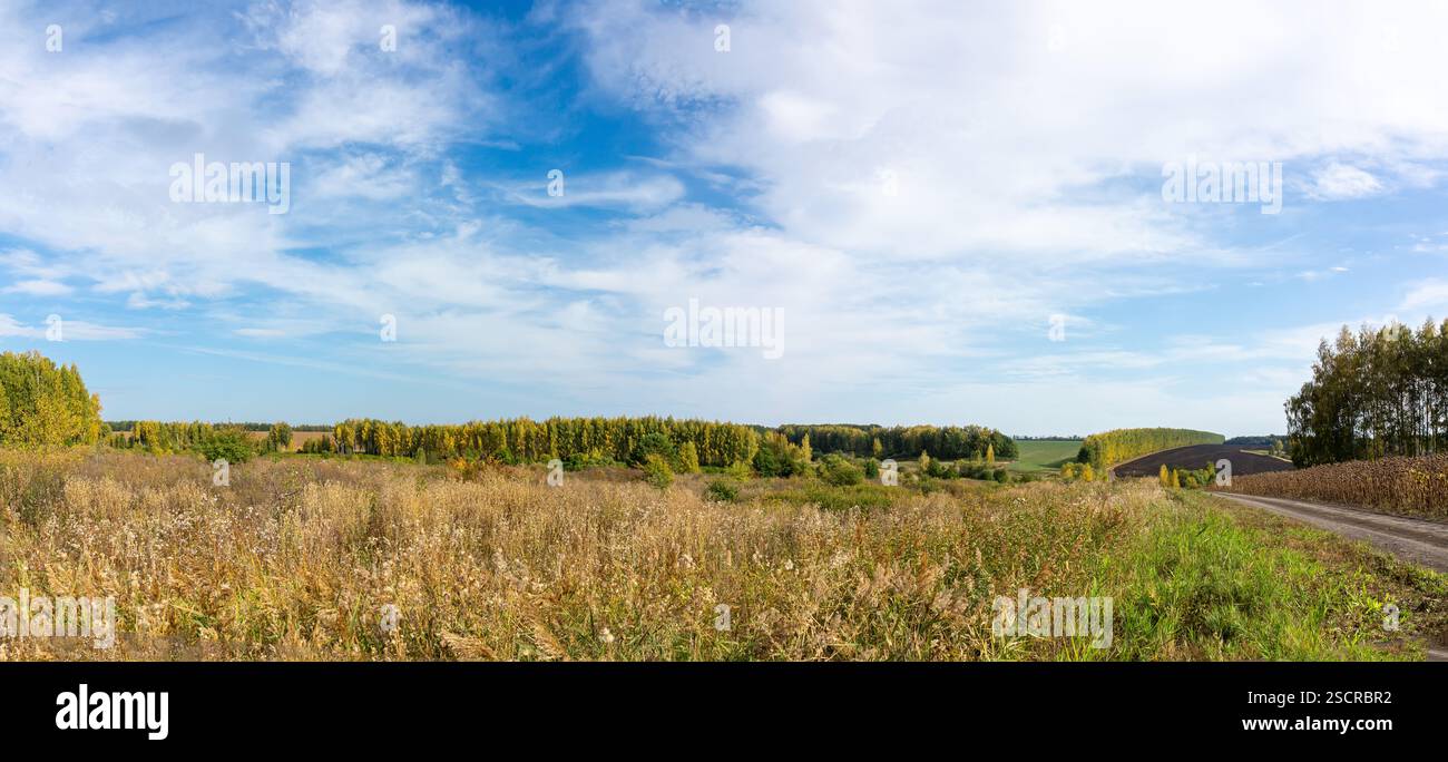 Iconic Russian countryside views of agricultural green fields Stock ...
