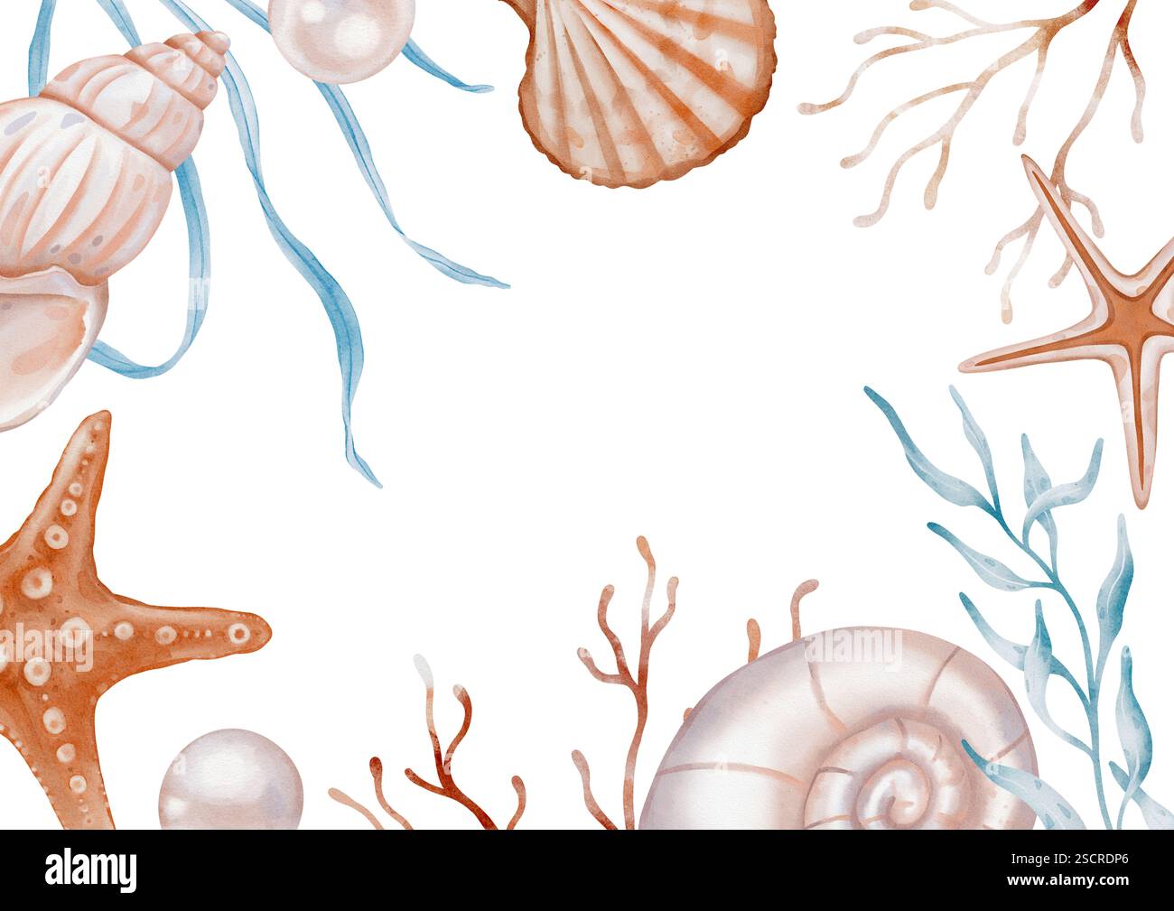 Underwater Rectangular frame with Corals, Seaweeds and Seashells. Hand ...