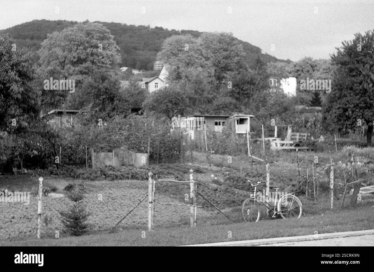 Bad Pyrmont: View of the Schildberg and gardens and a bicycle in the ...