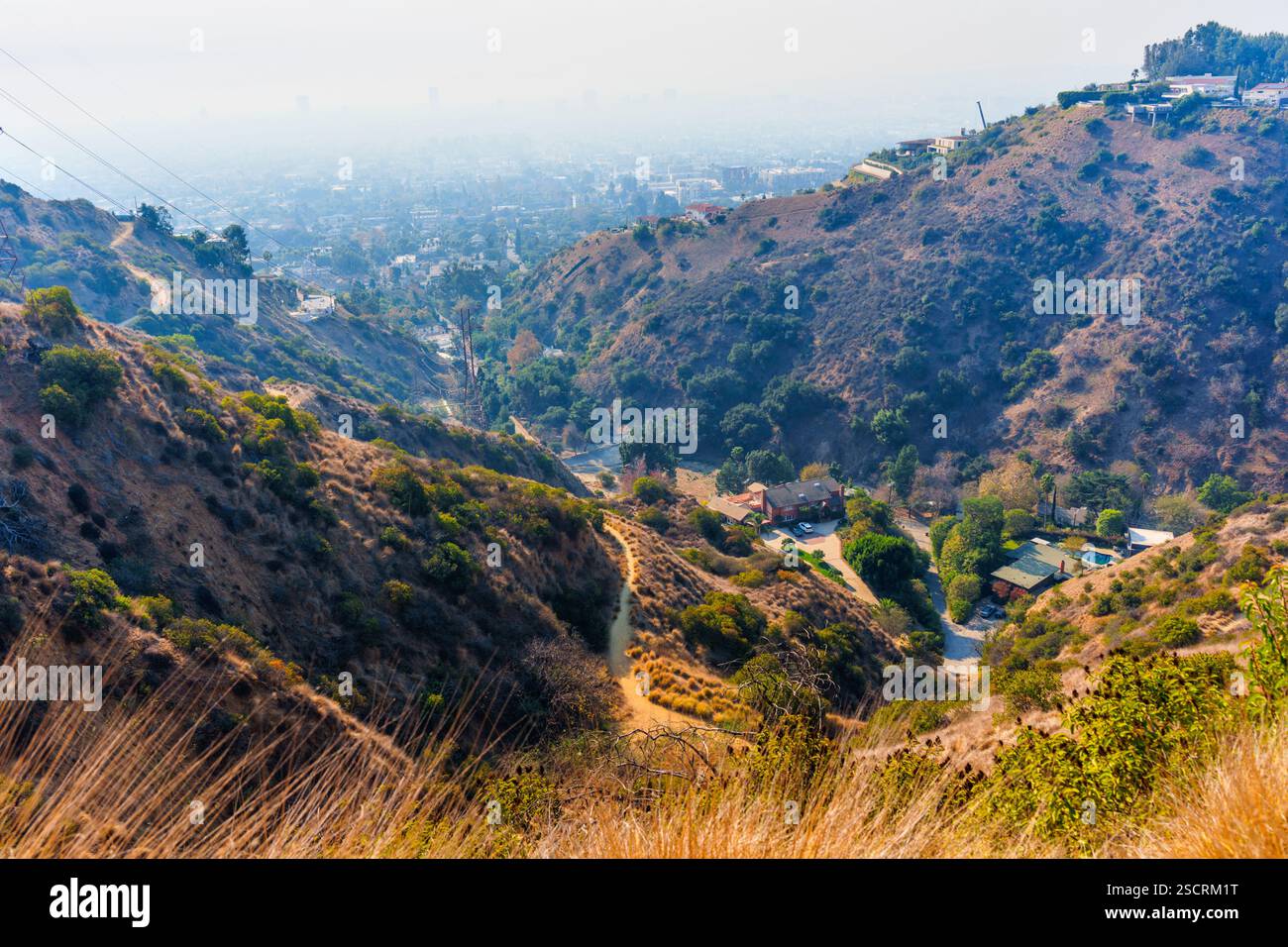 Aerial perspective of Runyon Canyon with hillside homes obscured by ...