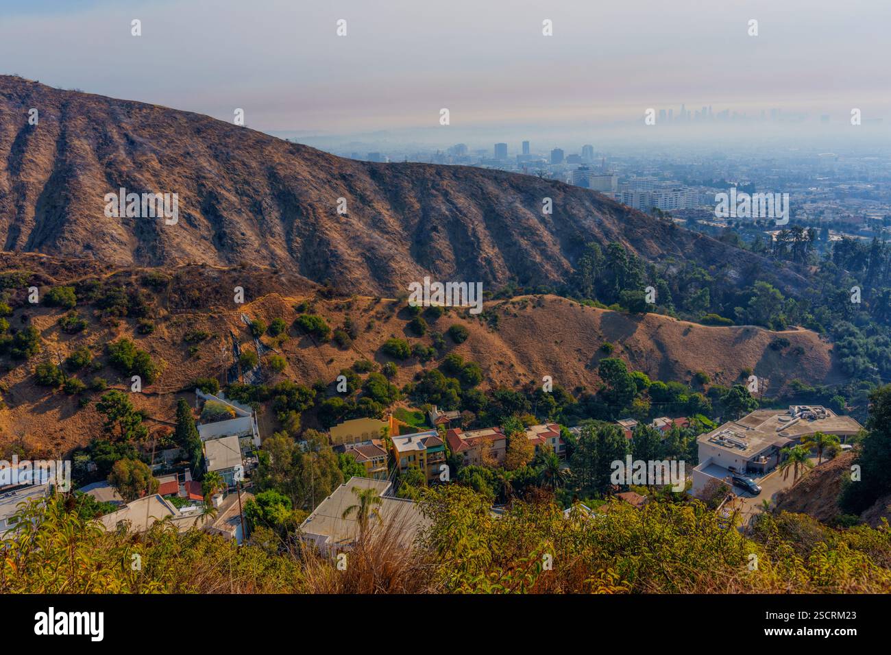 View from Runyon Canyon showing residential homes separated by a small ...