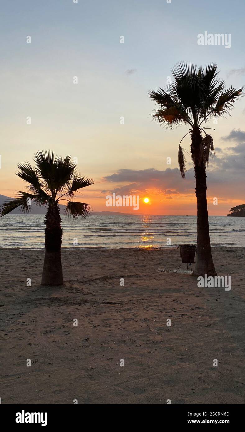 Beautiful orange sun setting between two palm trees on a sandy beach ...