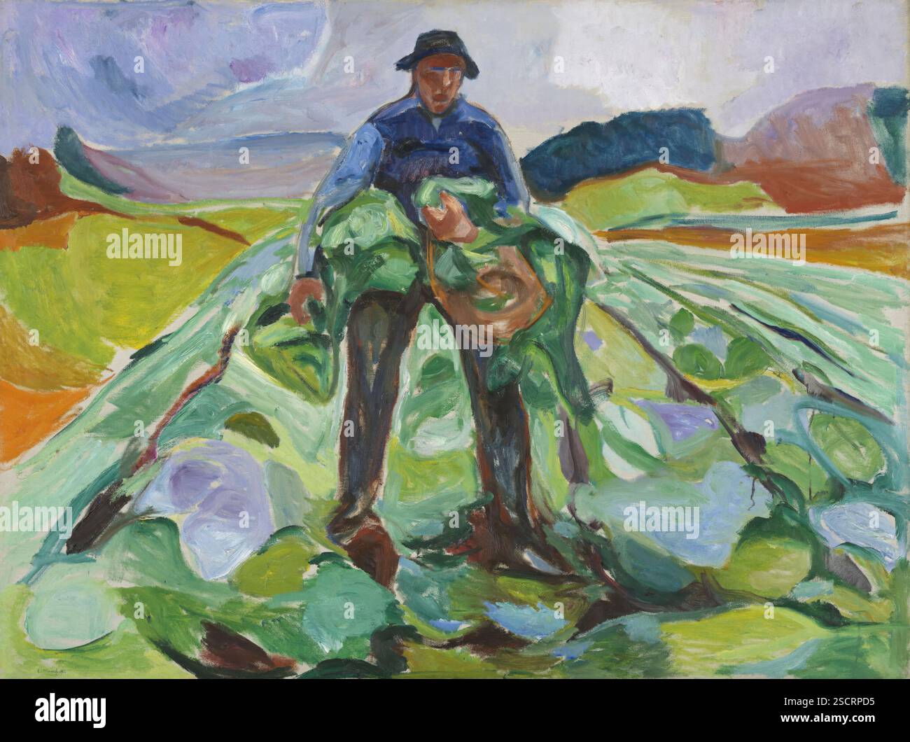 Man in the Cabbage Field, 1916 Stock Photo - Alamy
