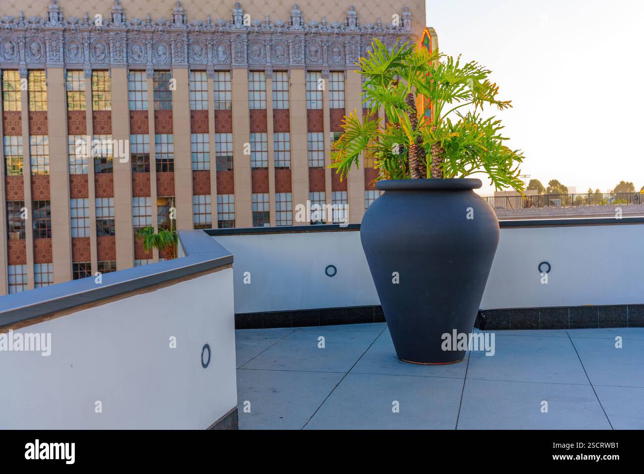 Los Angeles, California - January 8, 2025: Elegant large black planter ...