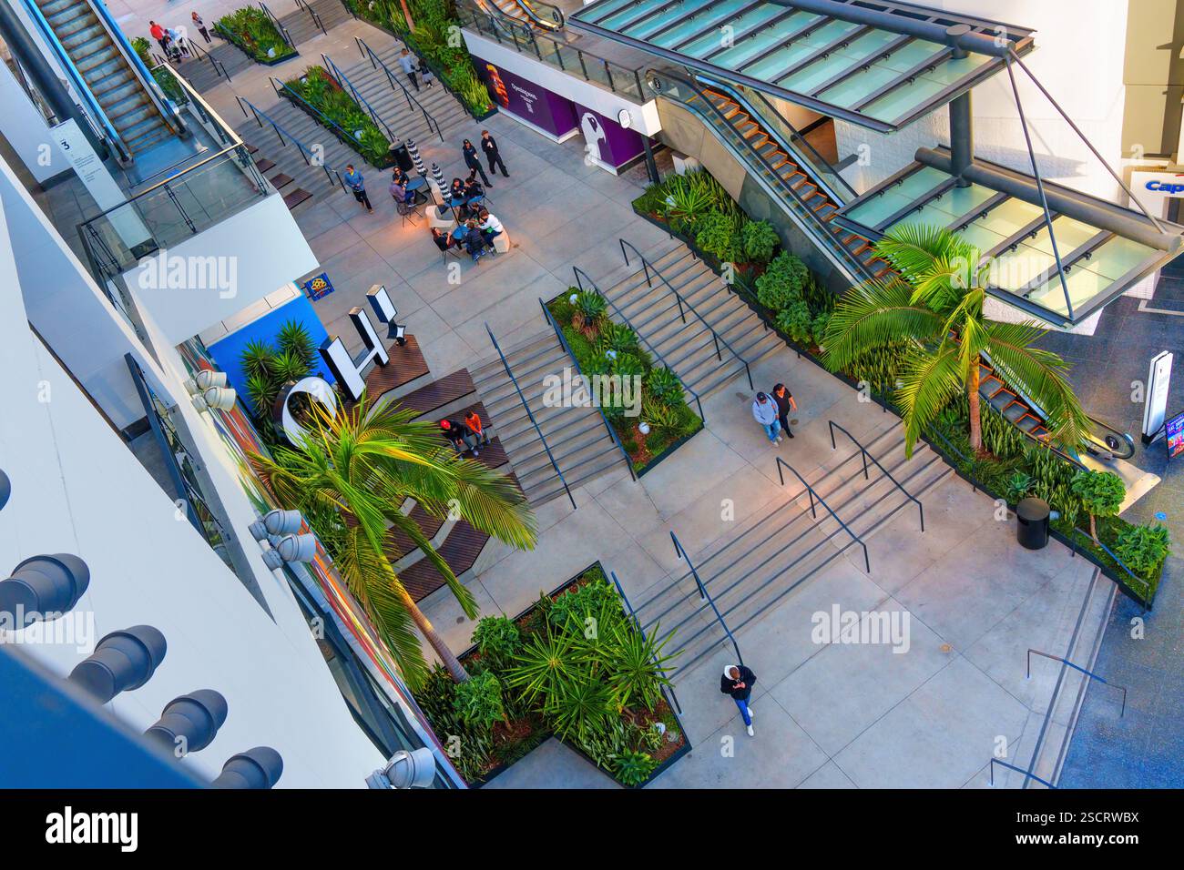 Los Angeles, California - January 8, 2025: Aerial view of the lush ...