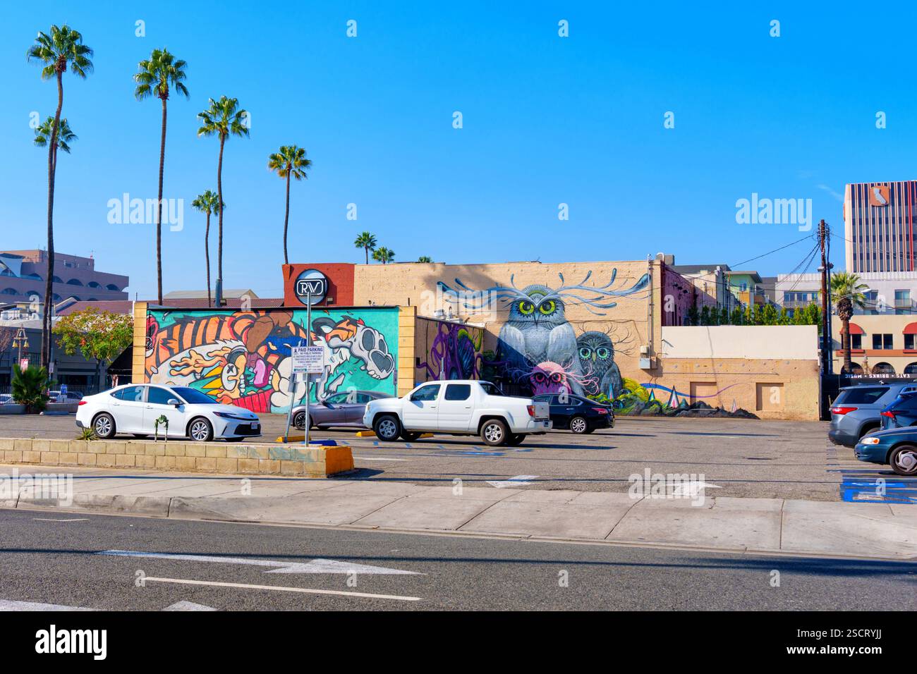 Riverside, California - December 30, 2024: Vibrant mural featuring ...