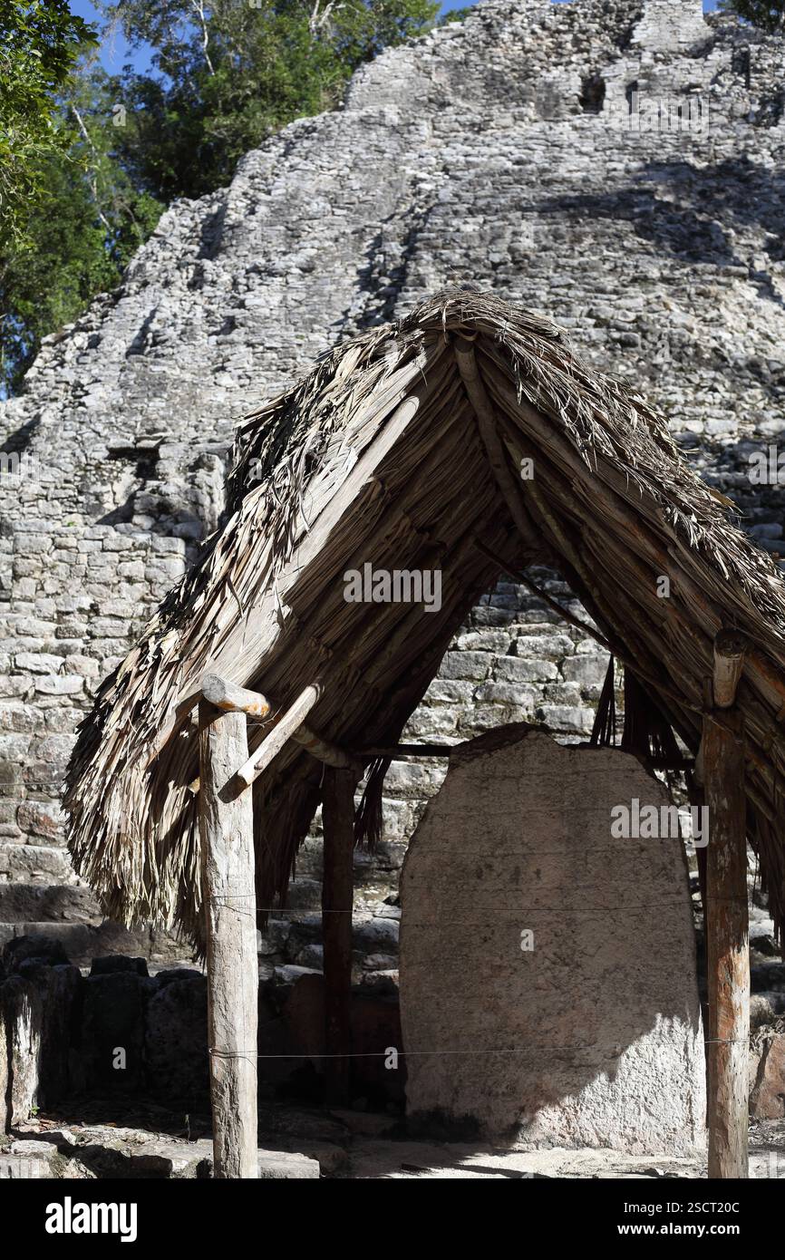 Top fragment of stela 11 discovered by Thomas Gann in 1926, in Coba ...